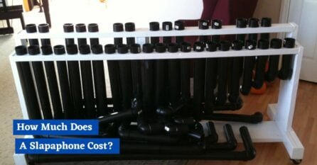 How Much Does A Slapaphone Cost? Creative Musical Instrument