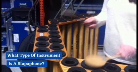What Type Of Instrument Is A Slapaphone: Best Explanation Creative ...